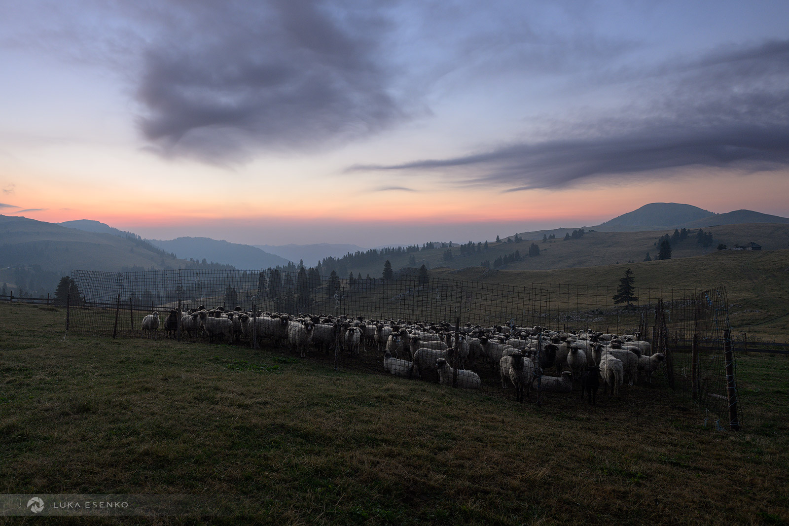 A Day with Shepherds at Planina Vlašić • Luka Esenko